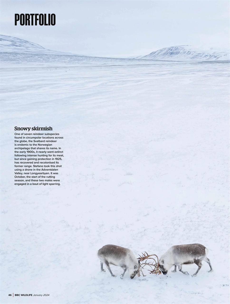 BBC Wildlife Magazine - January 2024 Subscriptions | Pocketmags