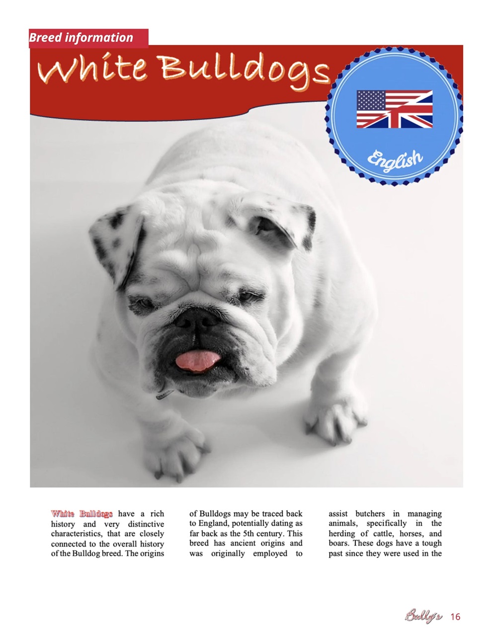 Bully’s - The Bulldog Magazine - Winter 2023 Subscriptions | Pocketmags