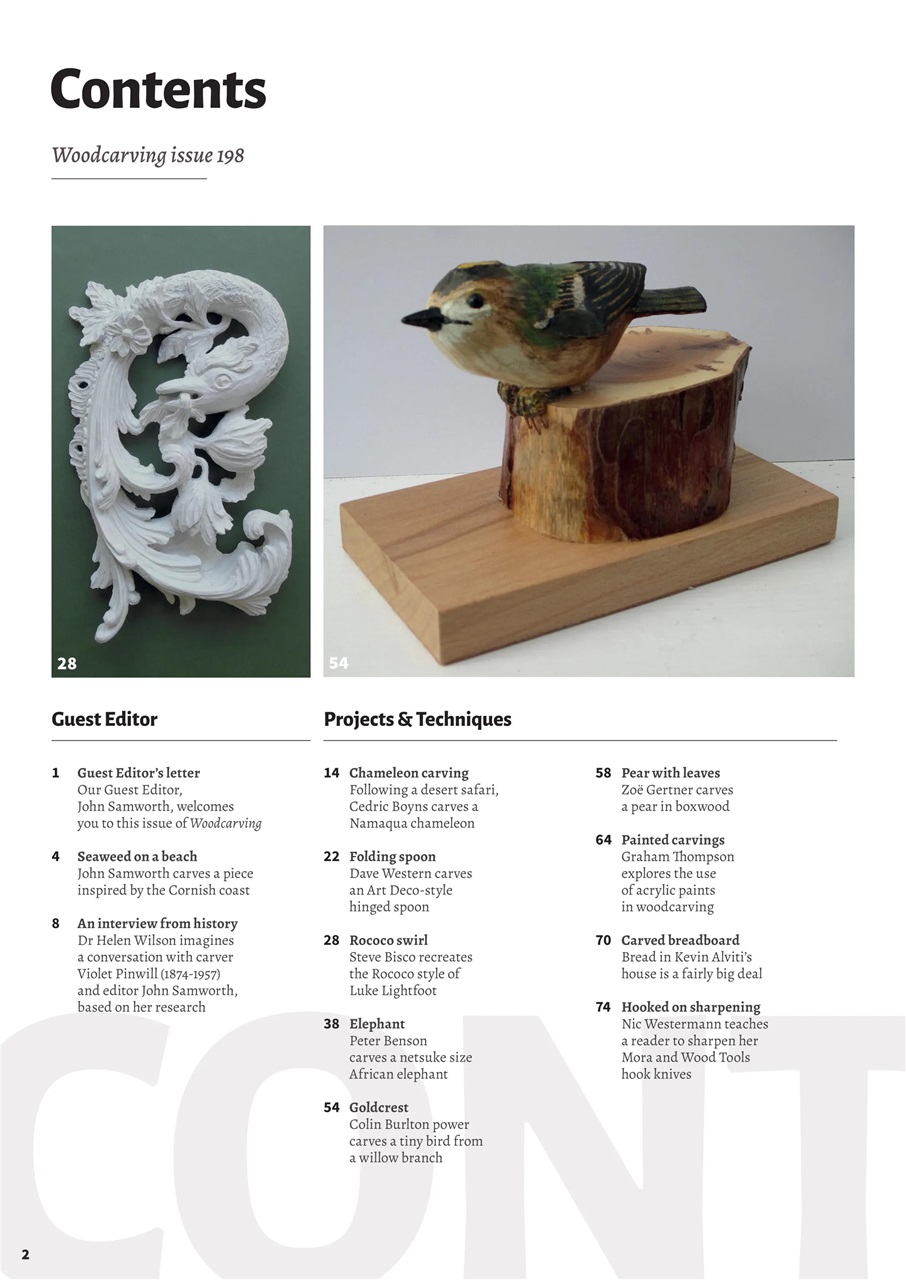 Woodcarving Magazine - Issue 198 Subscriptions | Pocketmags