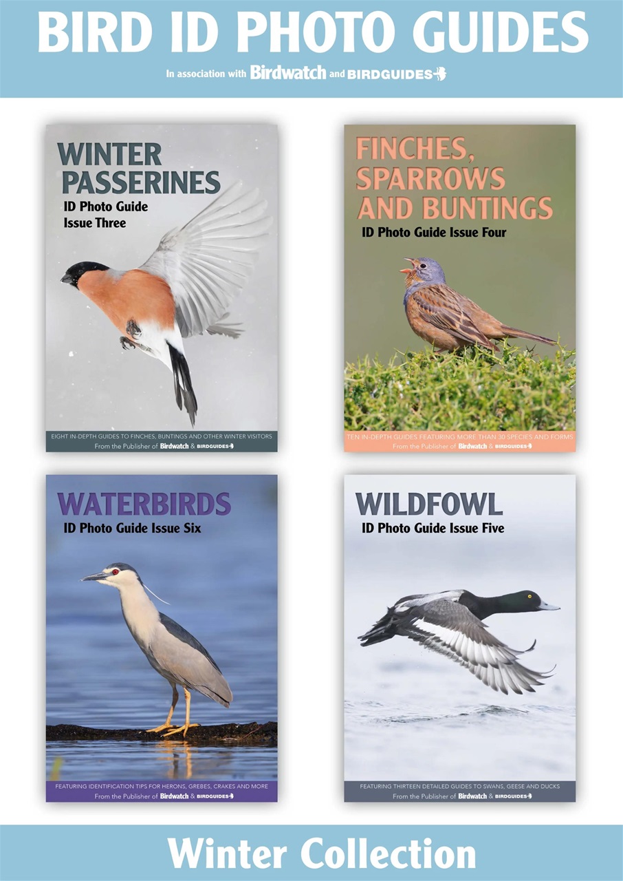 Bird ID Photo Guides Magazine - The Winter Collection | 4 issues | 1 ...