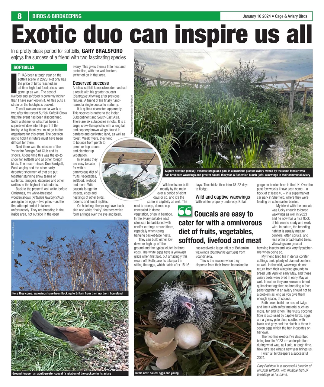 Cage & Aviary Birds Magazine - 10-Jan-24 Back Issue