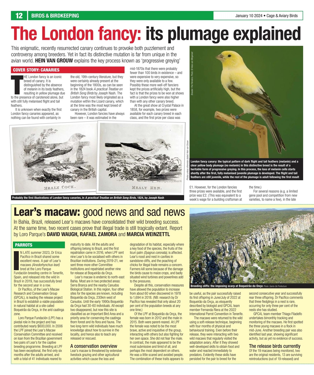 Cage & Aviary Birds Magazine - 10-Jan-24 Back Issue