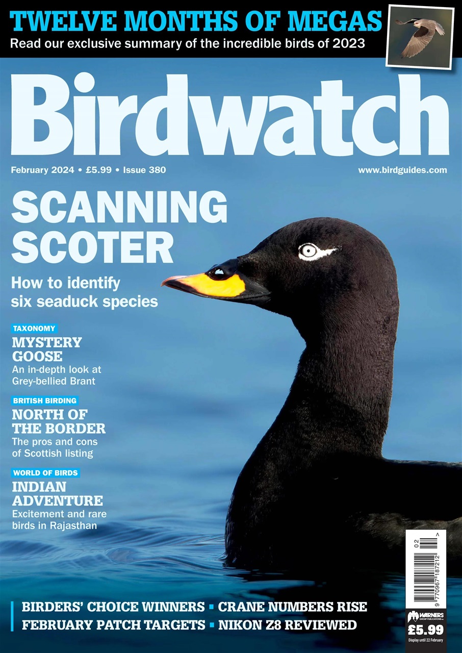 Birdwatch Magazine - February 2024 Back Issue