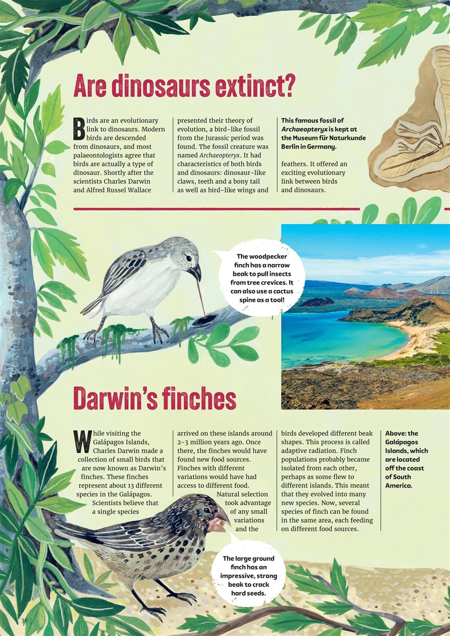 What on Earth! Magazine Subscriptions and February 2024 Issue | Pocketmags