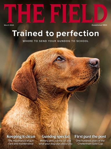 The Field Magazine Subscriptions and March 2024 Issue | Pocketmags
