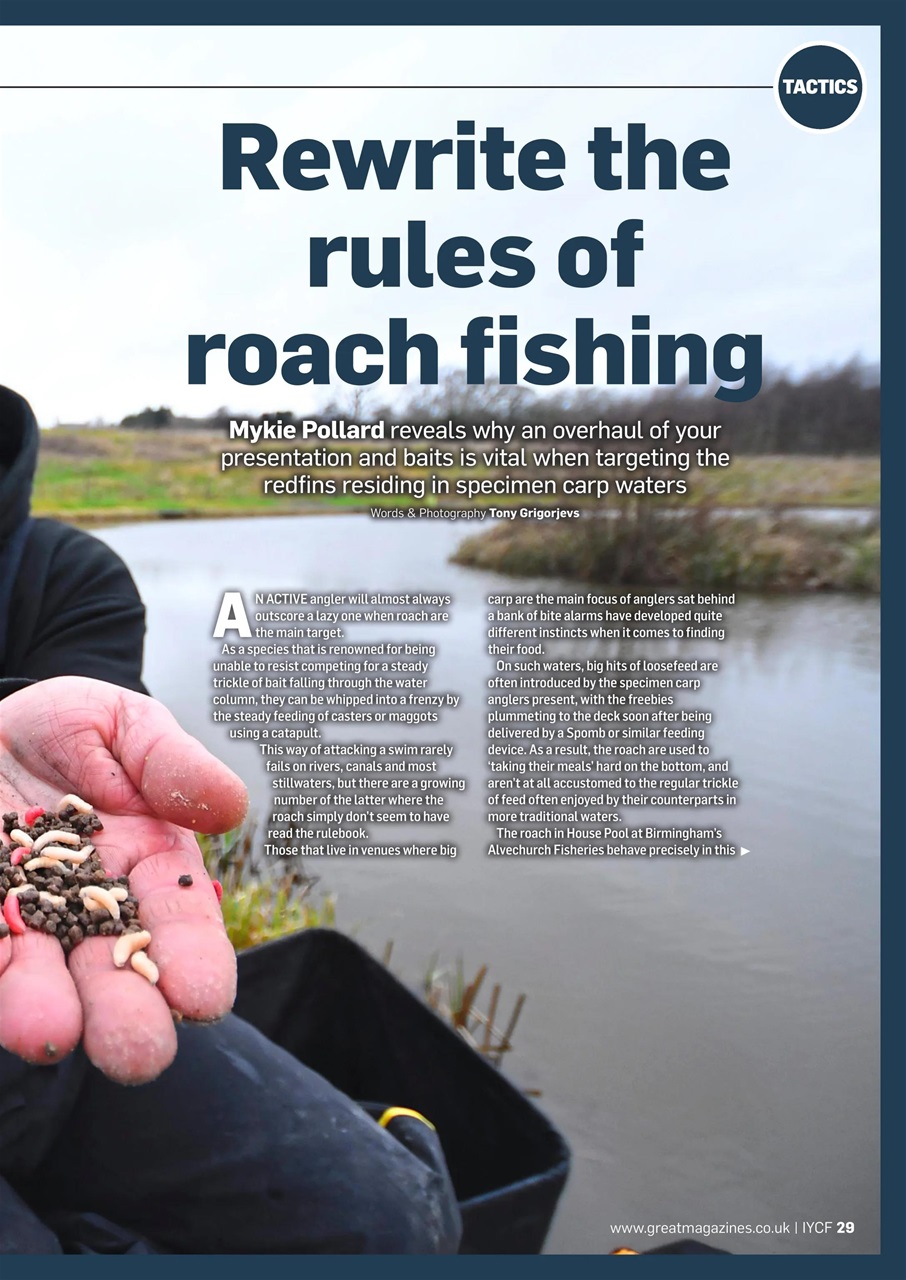 Improve Your Coarse Fishing Magazine Subscriptions and 413 Issue ...