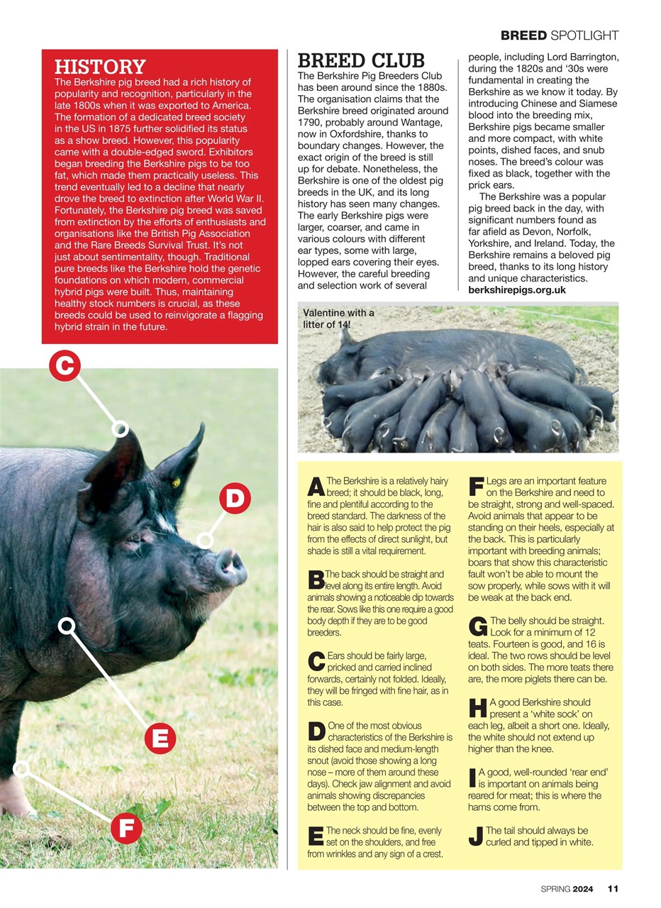 Practical Pigs Magazine Subscriptions and Spring 2024 Issue