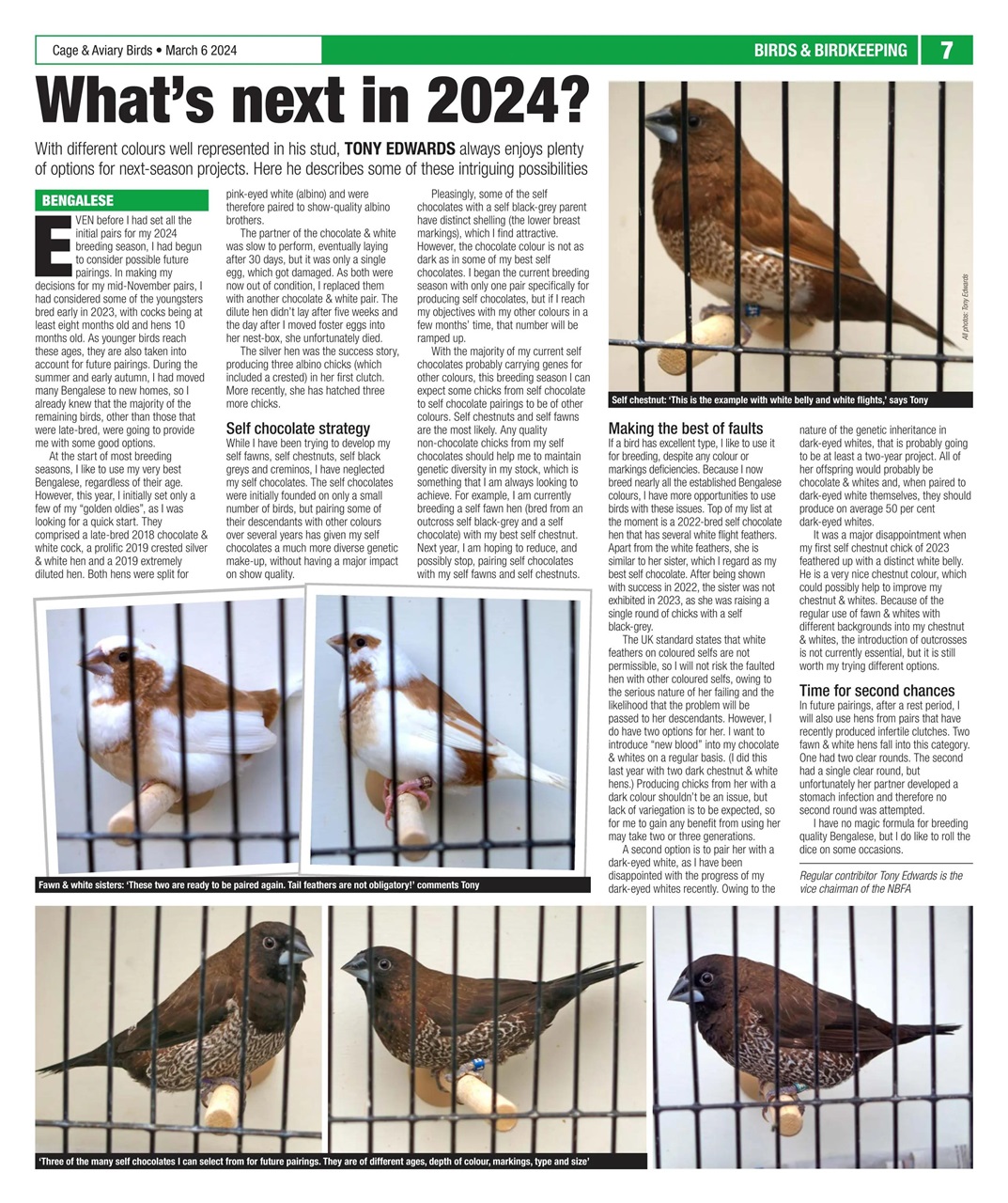 Cage & Aviary Birds Magazine - 6-Mar-24 Back Issue