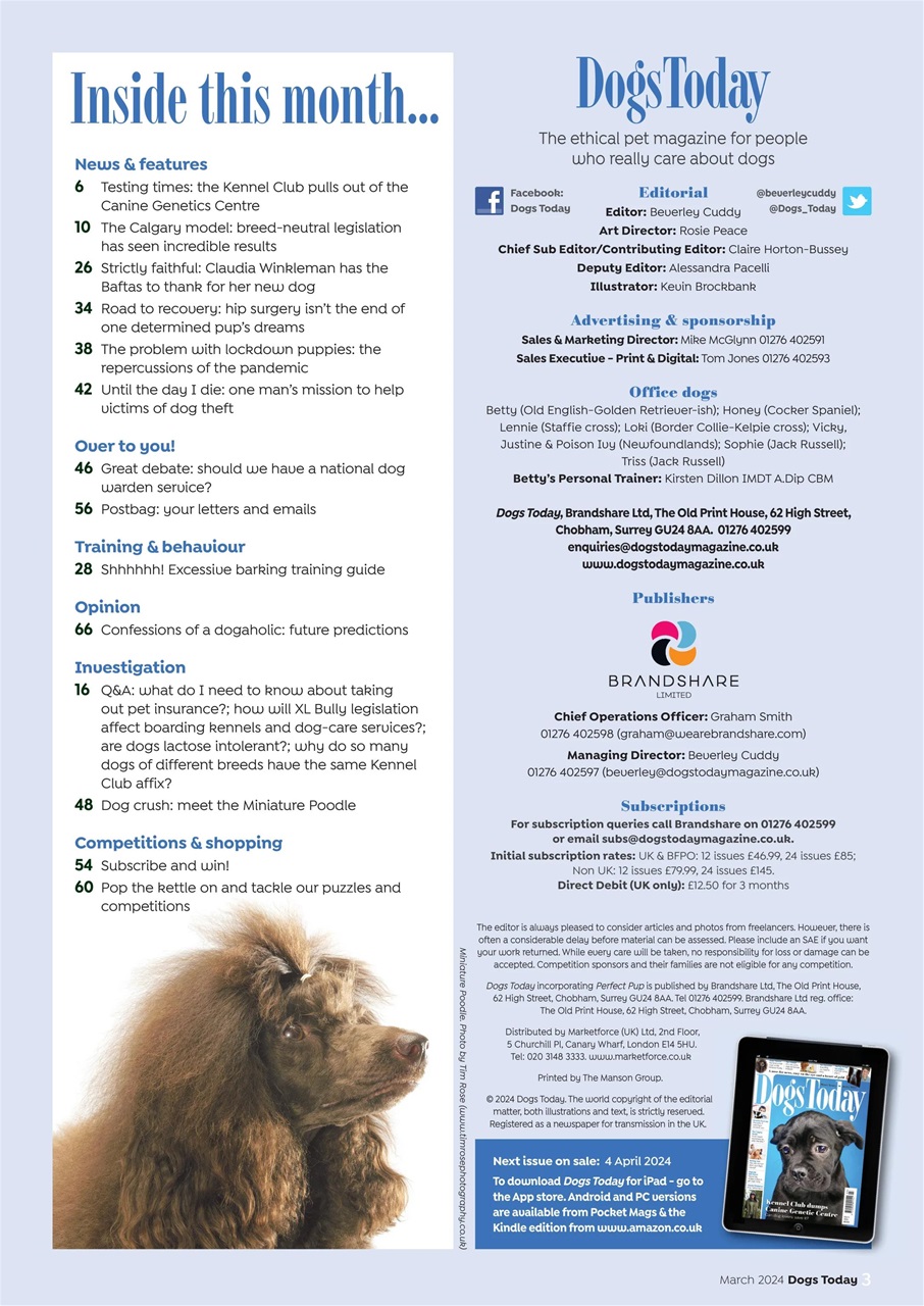 Dogs Today Magazine Subscriptions and March 2024 Issue | Pocketmags