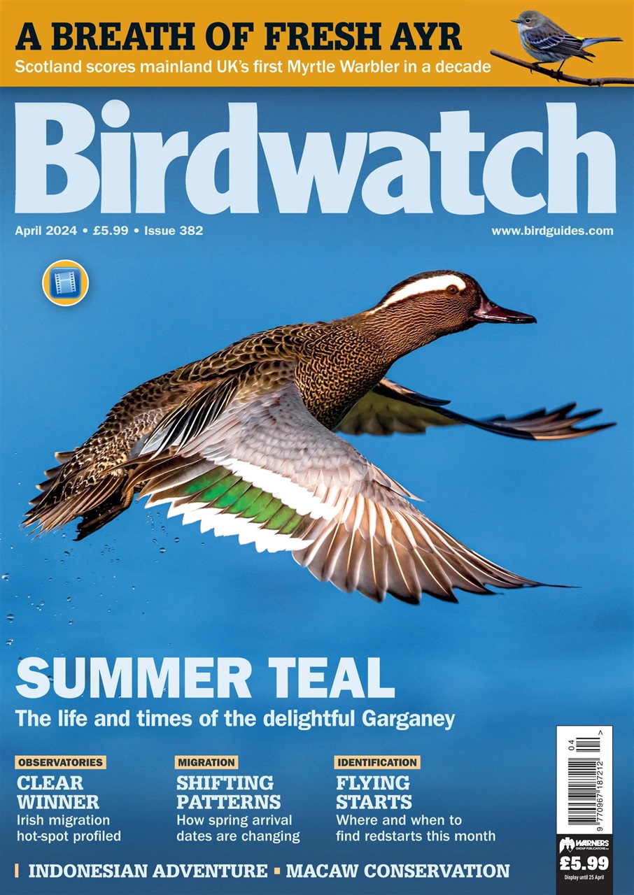 Birdwatch Magazine Subscriptions and April 2024 Issue | Pocketmags