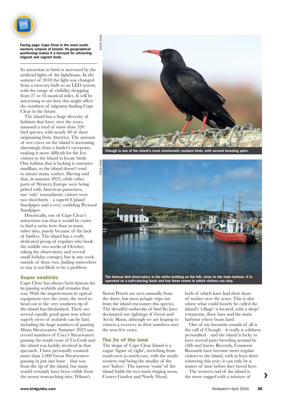 Birdwatch Magazine Subscriptions and April 2024 Issue | Pocketmags