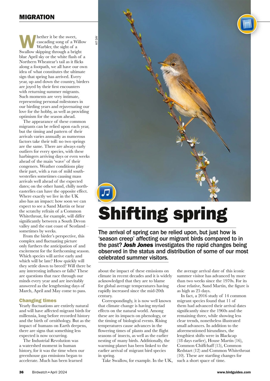 Birdwatch Magazine Subscriptions and April 2024 Issue | Pocketmags