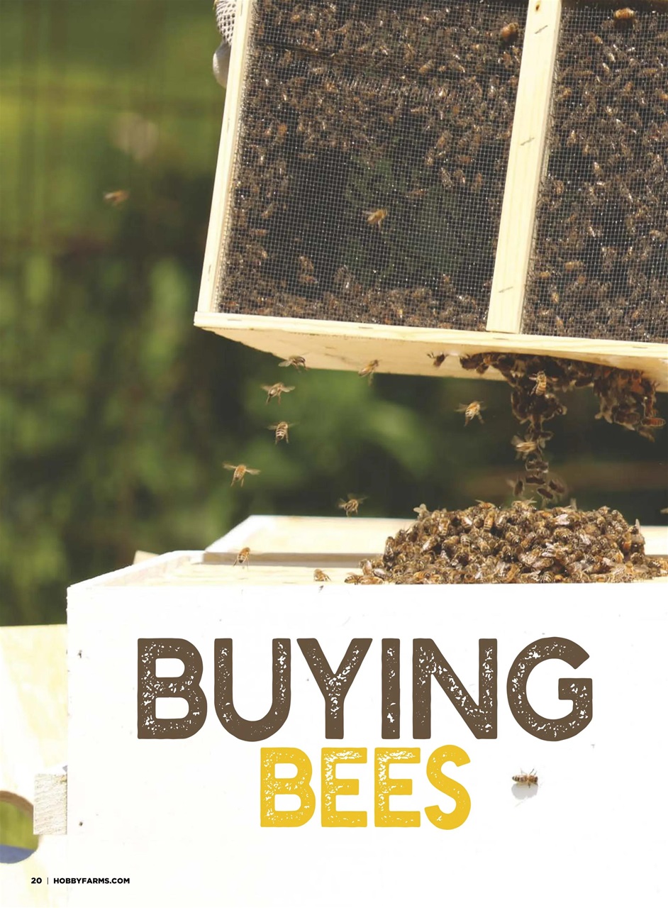 Hobby Farms Magazine - Beekeeping 101 Special Issue