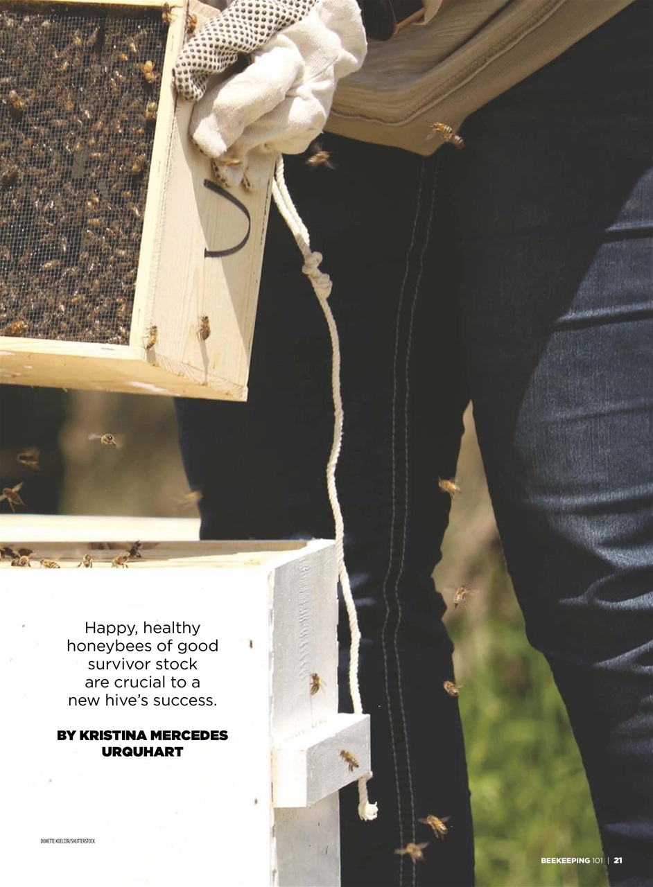 Hobby Farms Magazine - Beekeeping 101 Special Issue