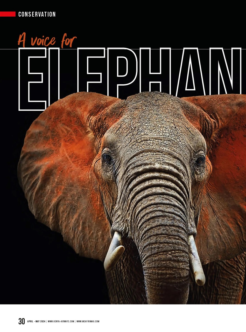 MSAFIRI – Kenya Airways Inflight Magazine Assinaturas e April-May 2024 ...