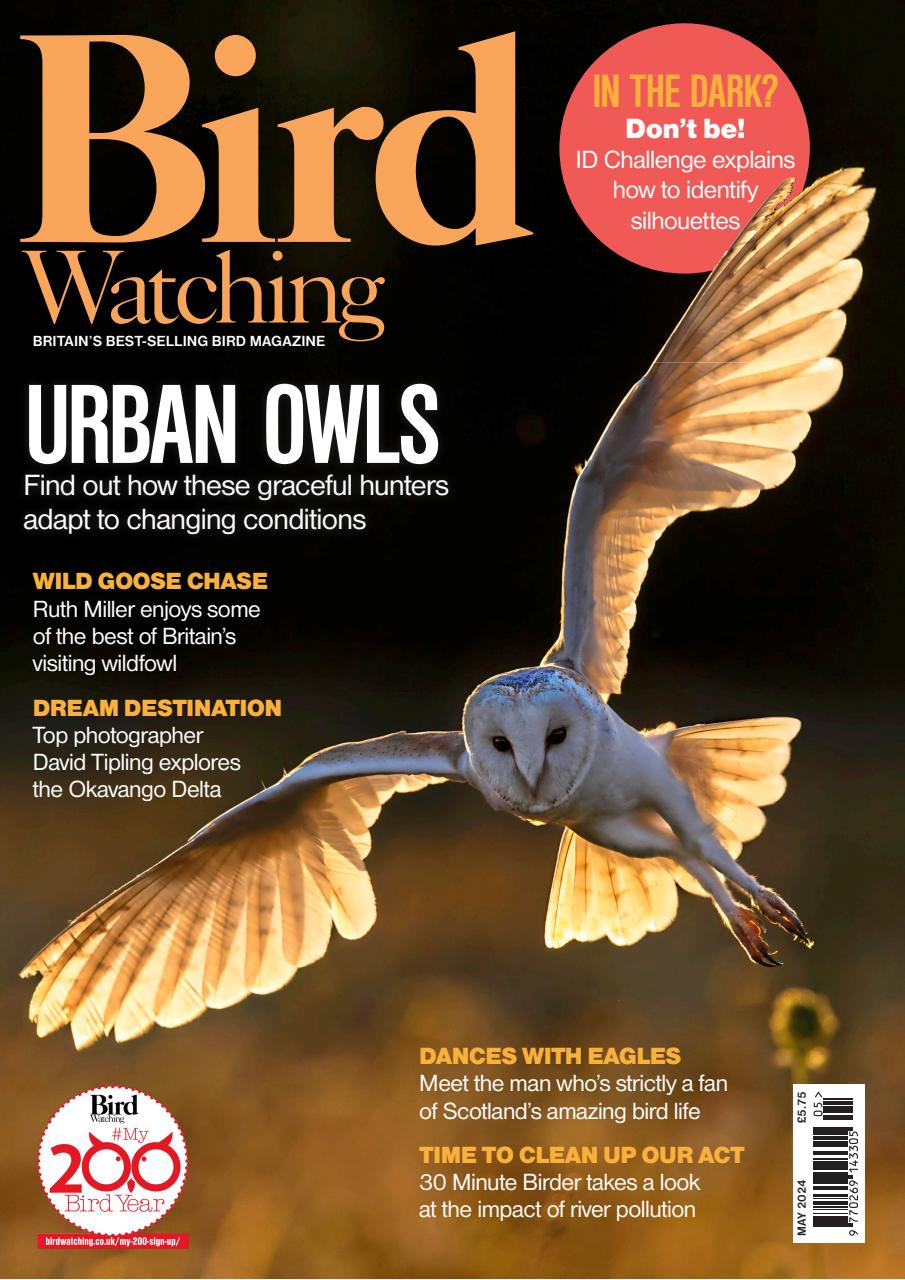 Bird Watching Magazine Subscriptions and May-24 Issue | Pocketmags