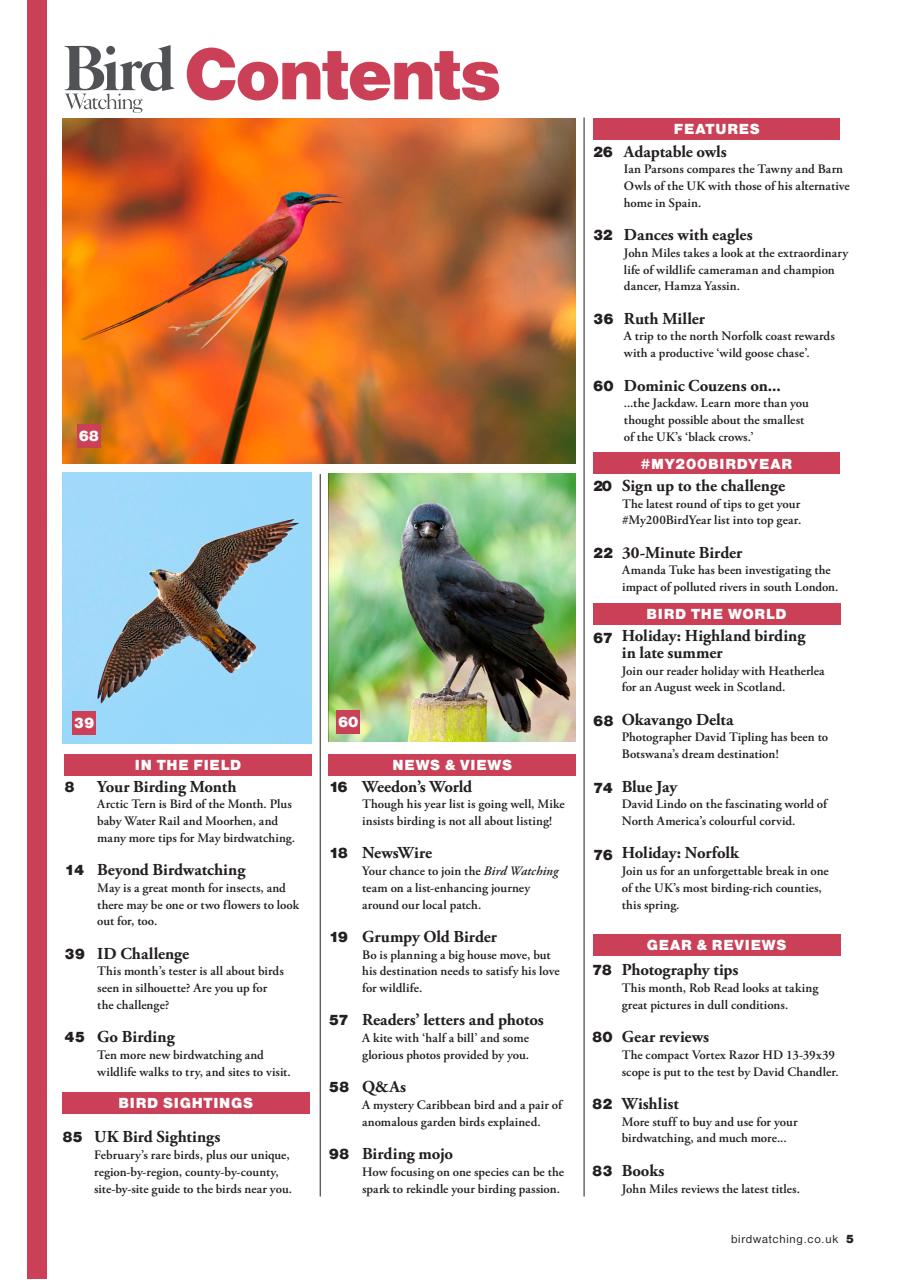 Bird Watching Magazine Subscriptions and May-24 Issue | Pocketmags