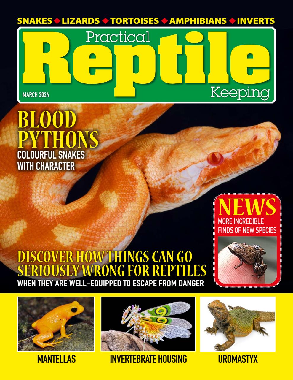 Practical Reptile Keeping Magazine Subscriptions and March 2024 Issue ...