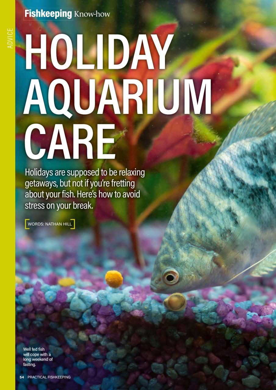 Practical Fishkeeping Magazine Subscriptions and May 2024 Issue ...