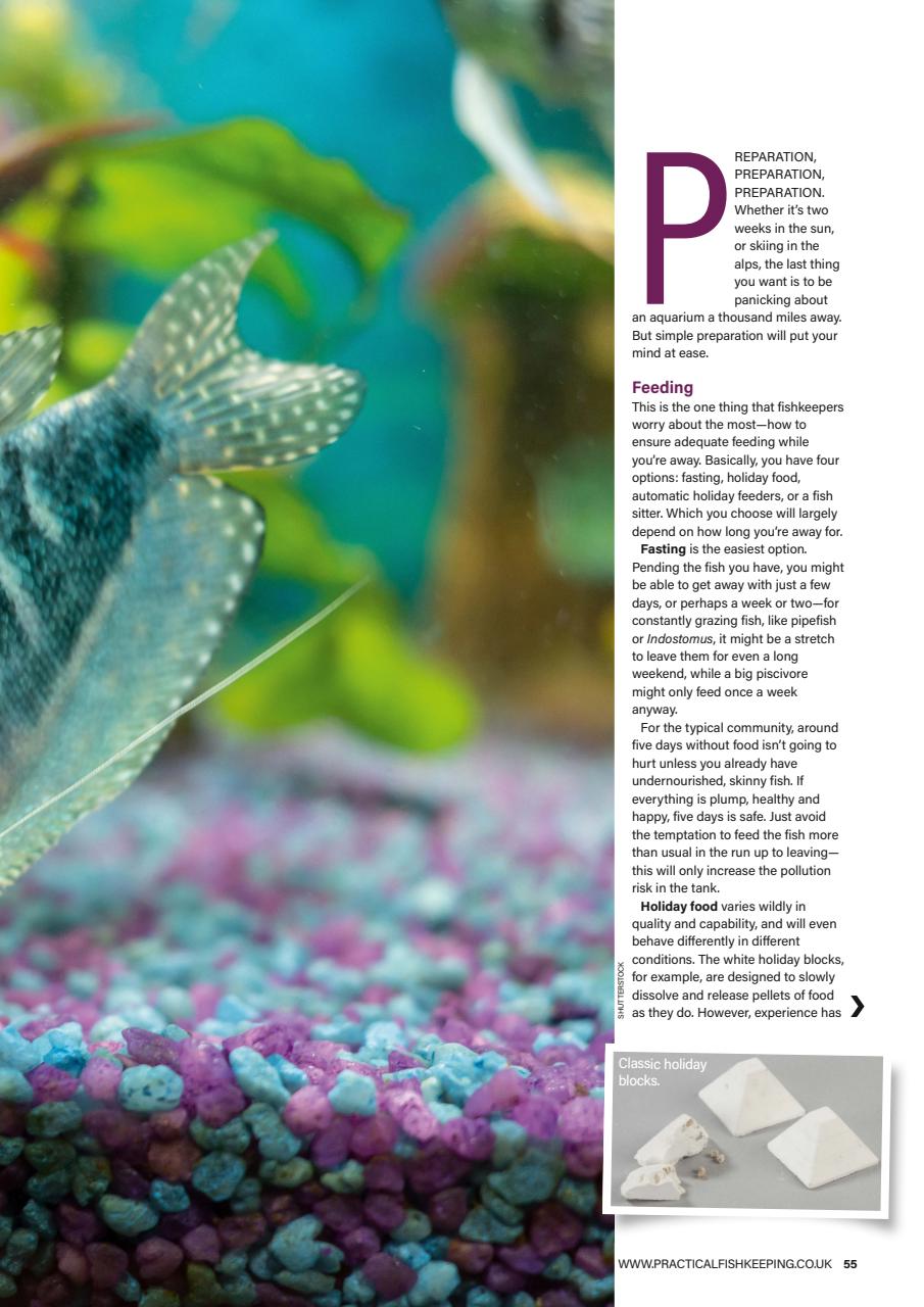 Practical Fishkeeping Magazine Subscriptions and May 2024 Issue ...