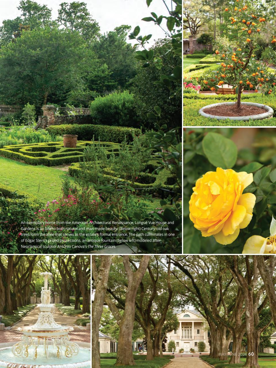 Southern Lady Magazine Subscriptions and May/June 2024 Issue | Pocketmags