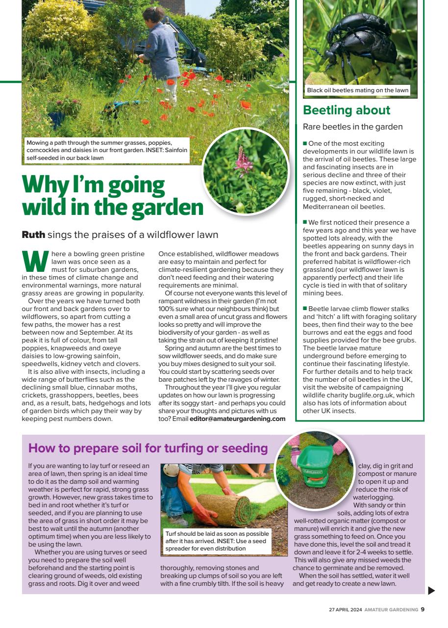 Amateur Gardening Magazine Subscriptions and 27th April 2024 Issue ...