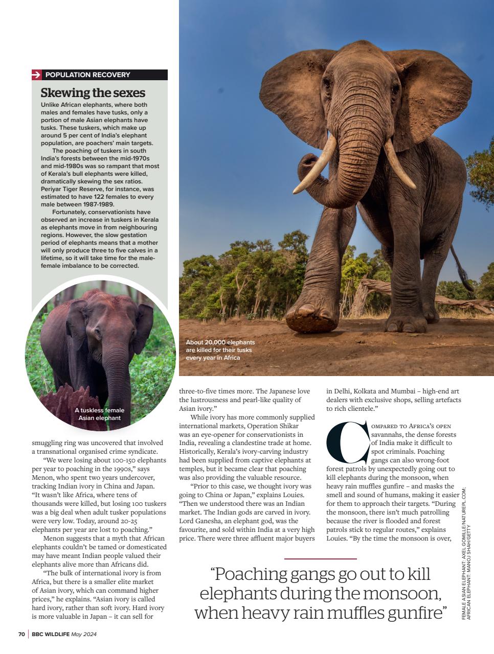BBC Wildlife Magazine Subscriptions and May 2024 Issue | Pocketmags