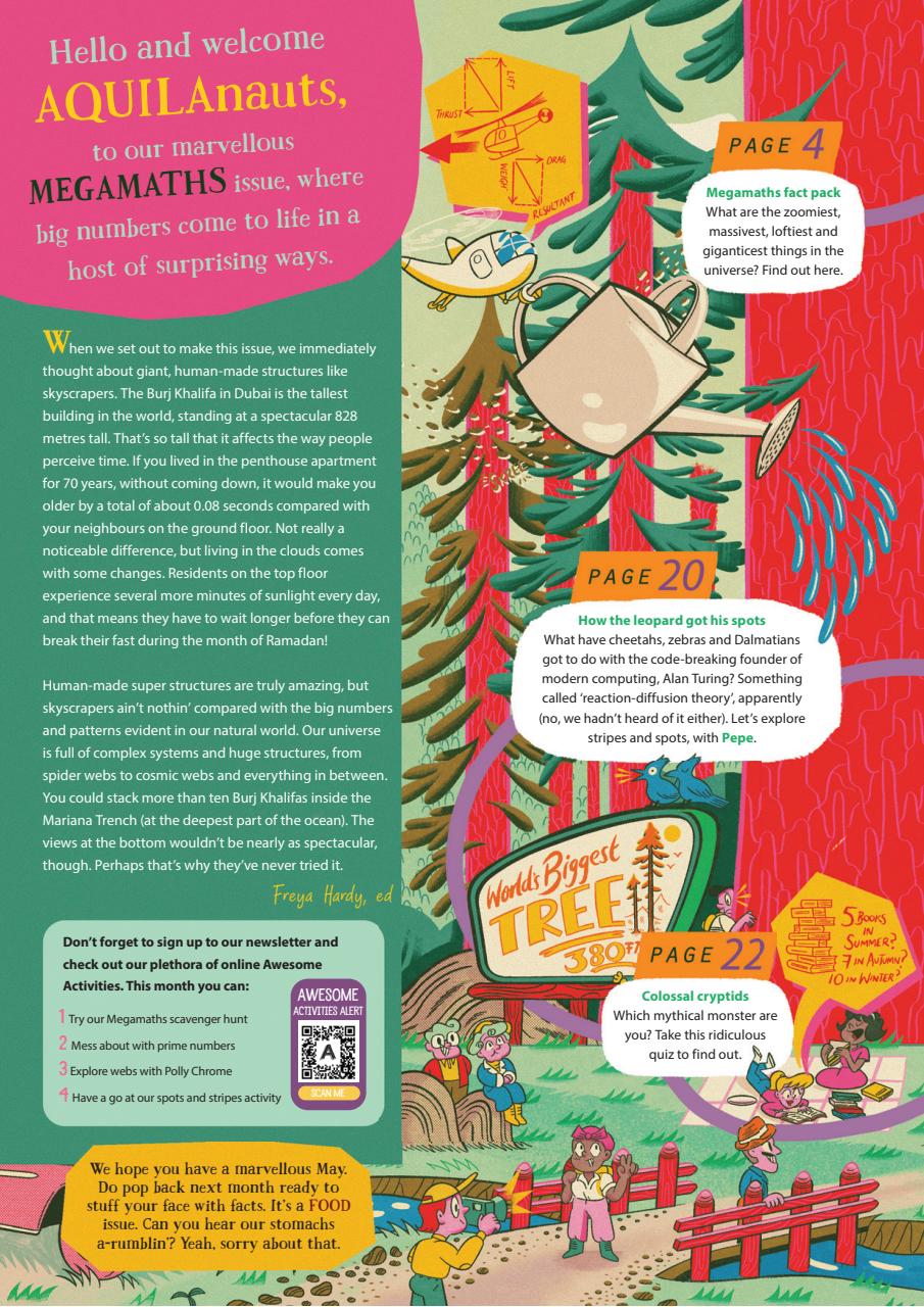 Aquila Magazine Subscriptions and Megamaths Issue