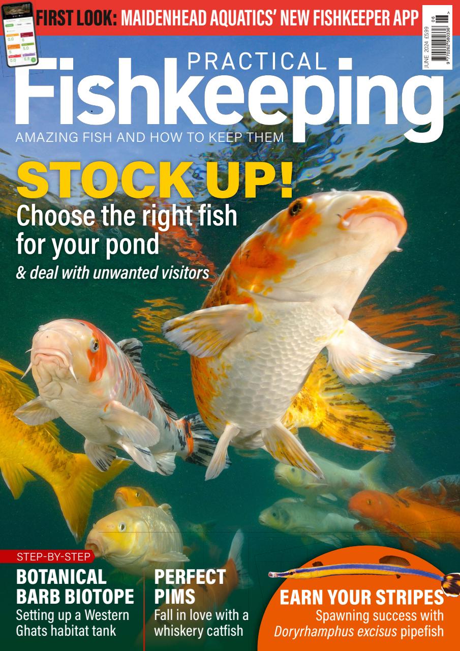Practical Fishkeeping Magazine Subscriptions and June 2024 Issue