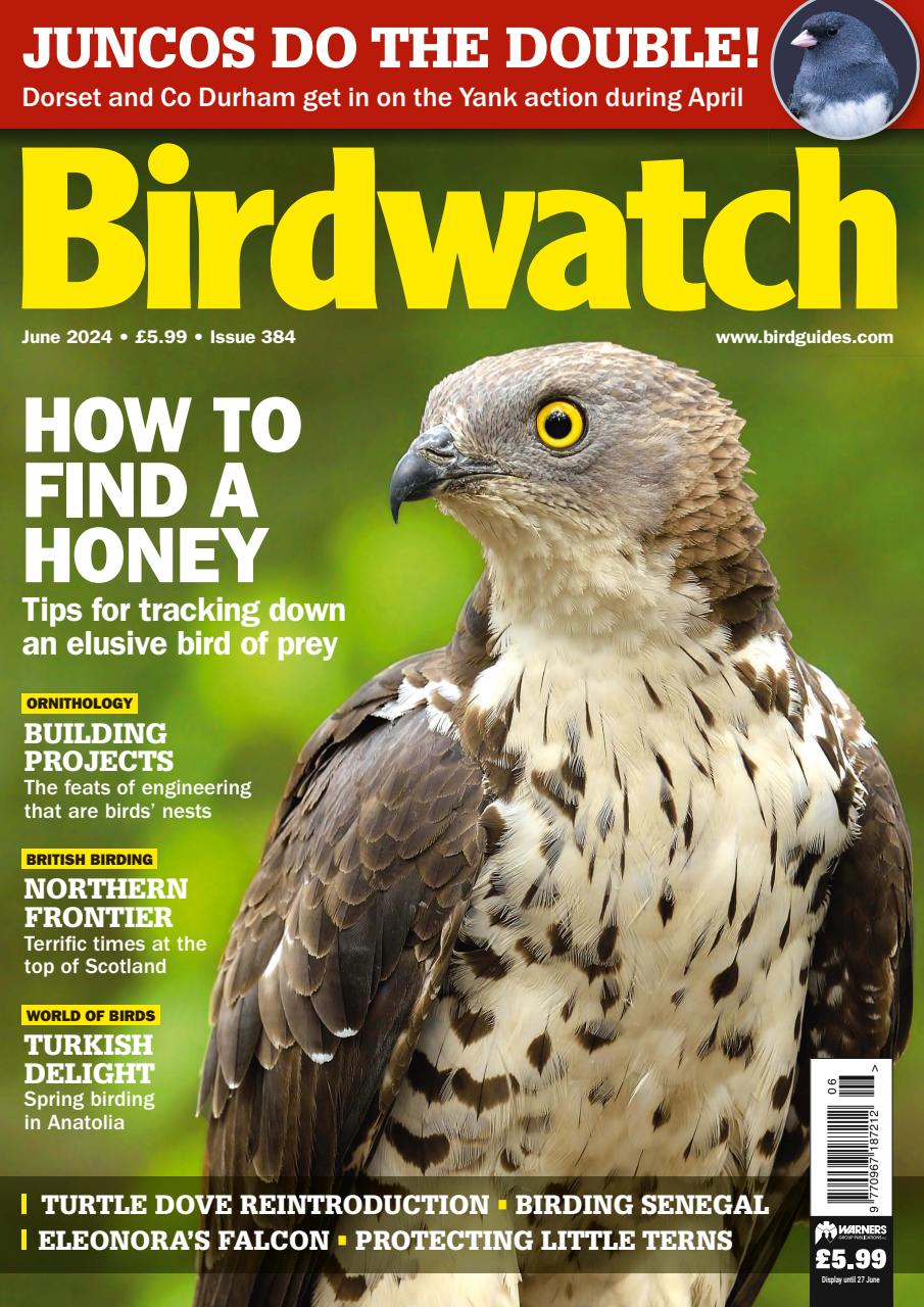 Birdwatch Magazine Abonnements und June 2024 Ausgabe