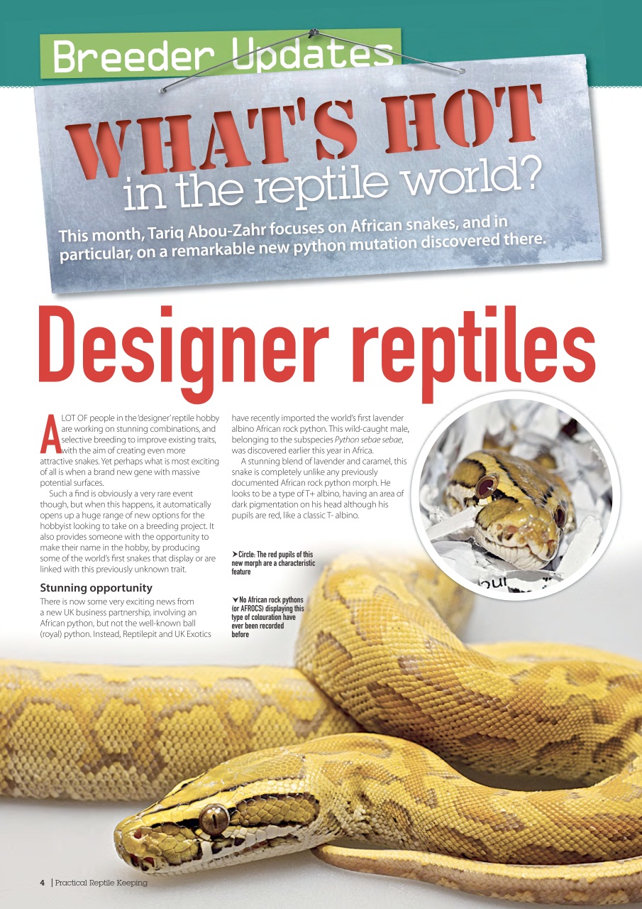 Practical Reptile Keeping Magazine - No.36 Your first reptile ...