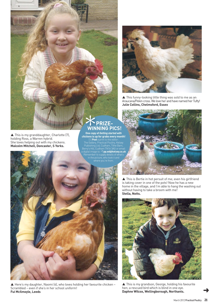 Practical Poultry Magazine - Practical Poultry Sample Issue Back Issue