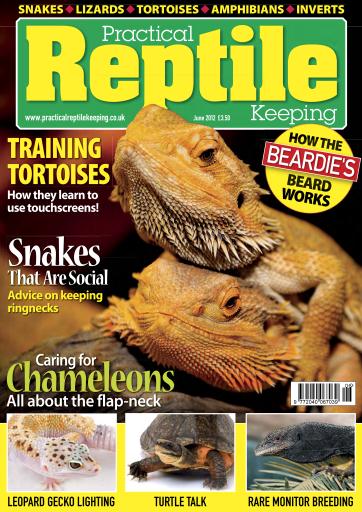 Practical Reptile Keeping Magazine - No.37 Training Tortoises Back Issue