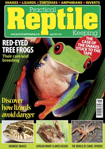 Practical Reptile Keeping Magazine - No.39 Tree Frogs Back Issue