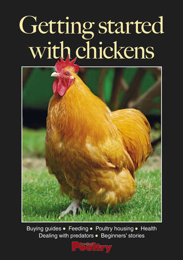 Getting started with chickens Magazine - Getting started with chickens Subscriptions | Pocketmags
