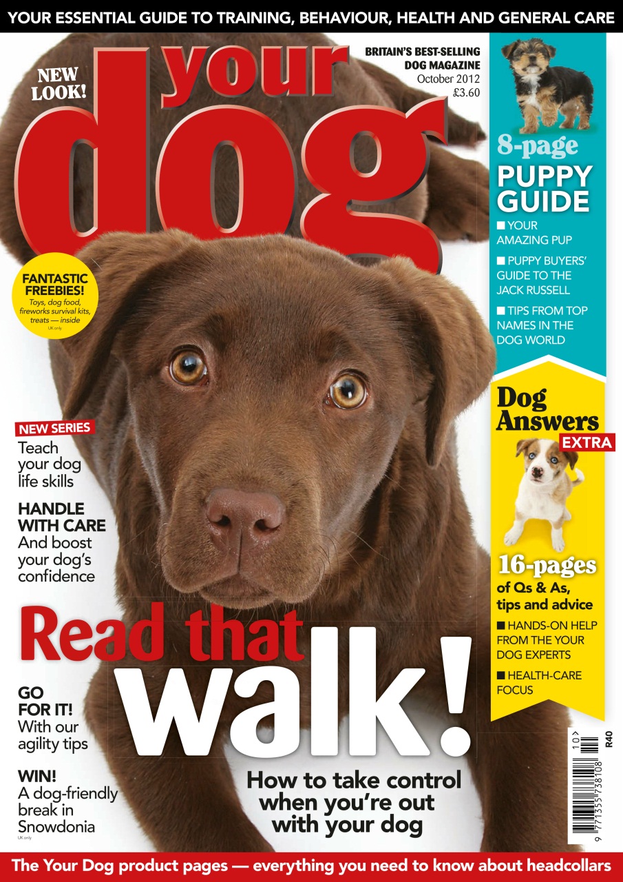 Your Dog Magazine - Your Dog Magazine October 2012 Back Issue