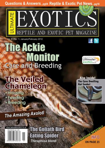 Ultimate Exotics Magazine - January-February 2012 Back Issue