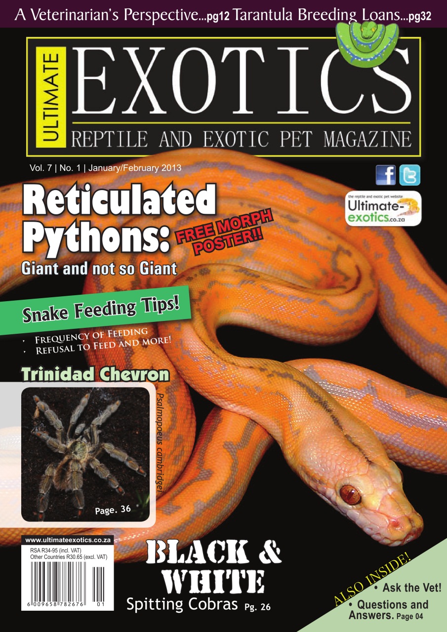 Ultimate Exotics Magazine - January-February 2013 Back Issue