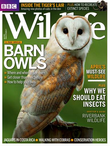 BBC Wildlife Magazine - April 2013 Back Issue