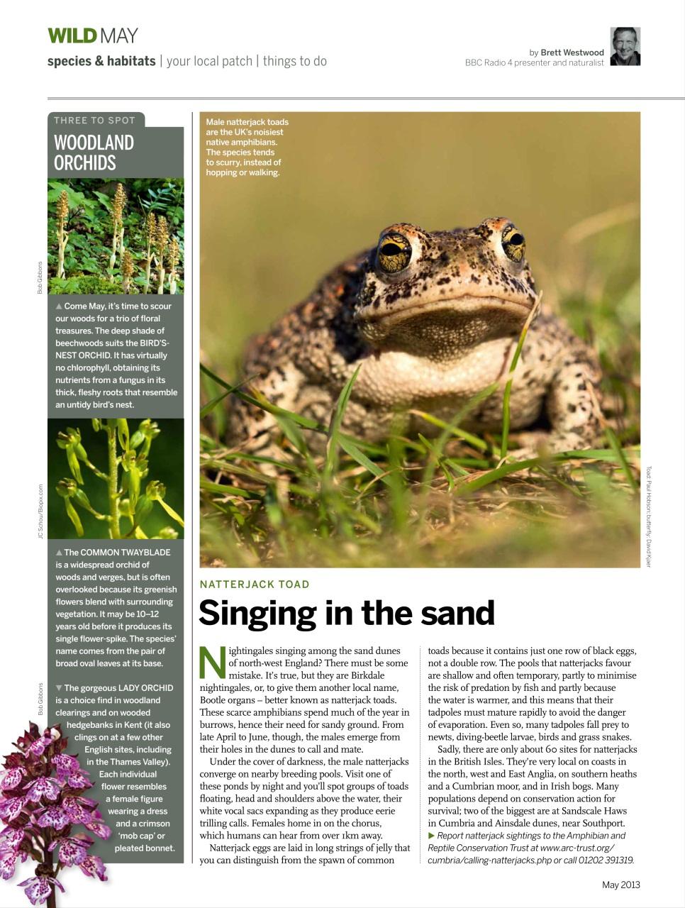 BBC Wildlife Magazine - May 2013 Back Issue