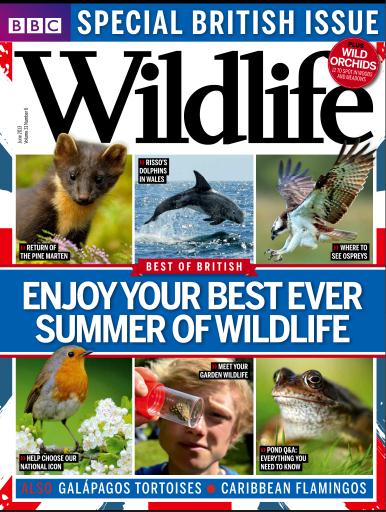 BBC Wildlife Magazine - June 2013 Back Issue