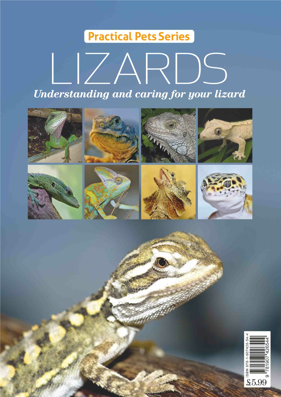Practical Reptile Keeping Magazine - Practical Reptile Lizard Special ...