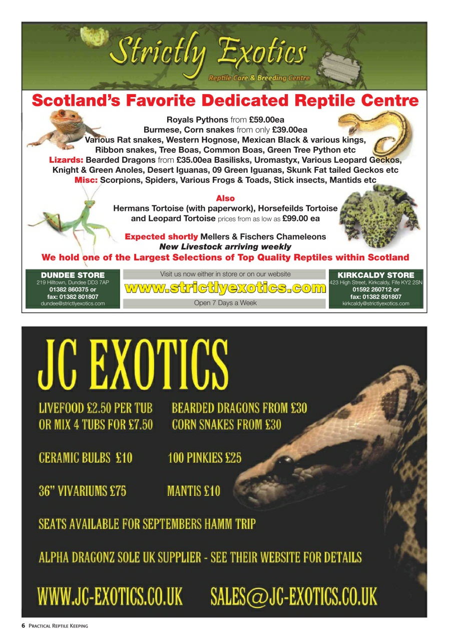 Practical Reptile Keeping Magazine - No.5 Breed Snakes Successfully ...