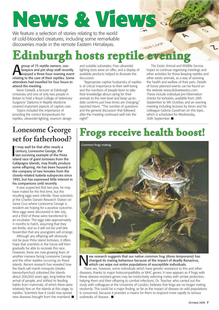 Practical Reptile Keeping Magazine - No.5 Breed Snakes Successfully ...
