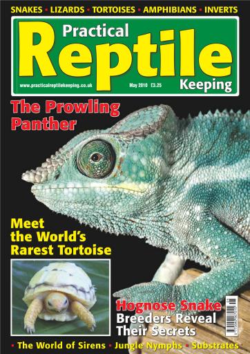 Practical Reptile Keeping Magazine - No.12 Hognose Snakes Back Issue