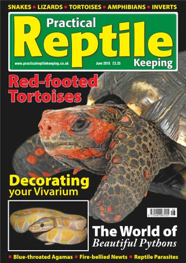 Practical Reptile Keeping Magazine - No.13 Beautiful Pythons Back Issue