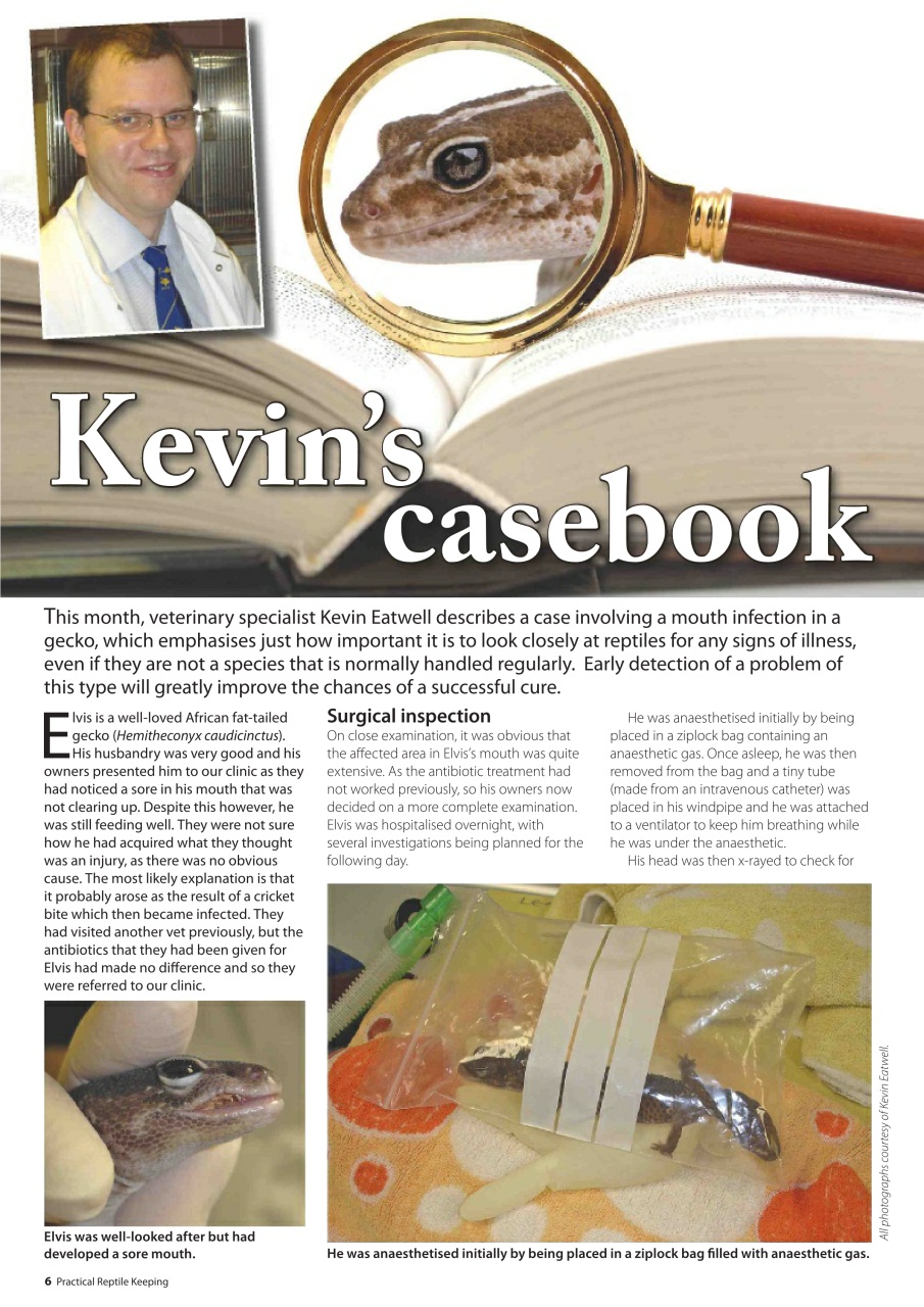 Practical Reptile Keeping Magazine - No.14 Tokays & House Snakes Back Issue