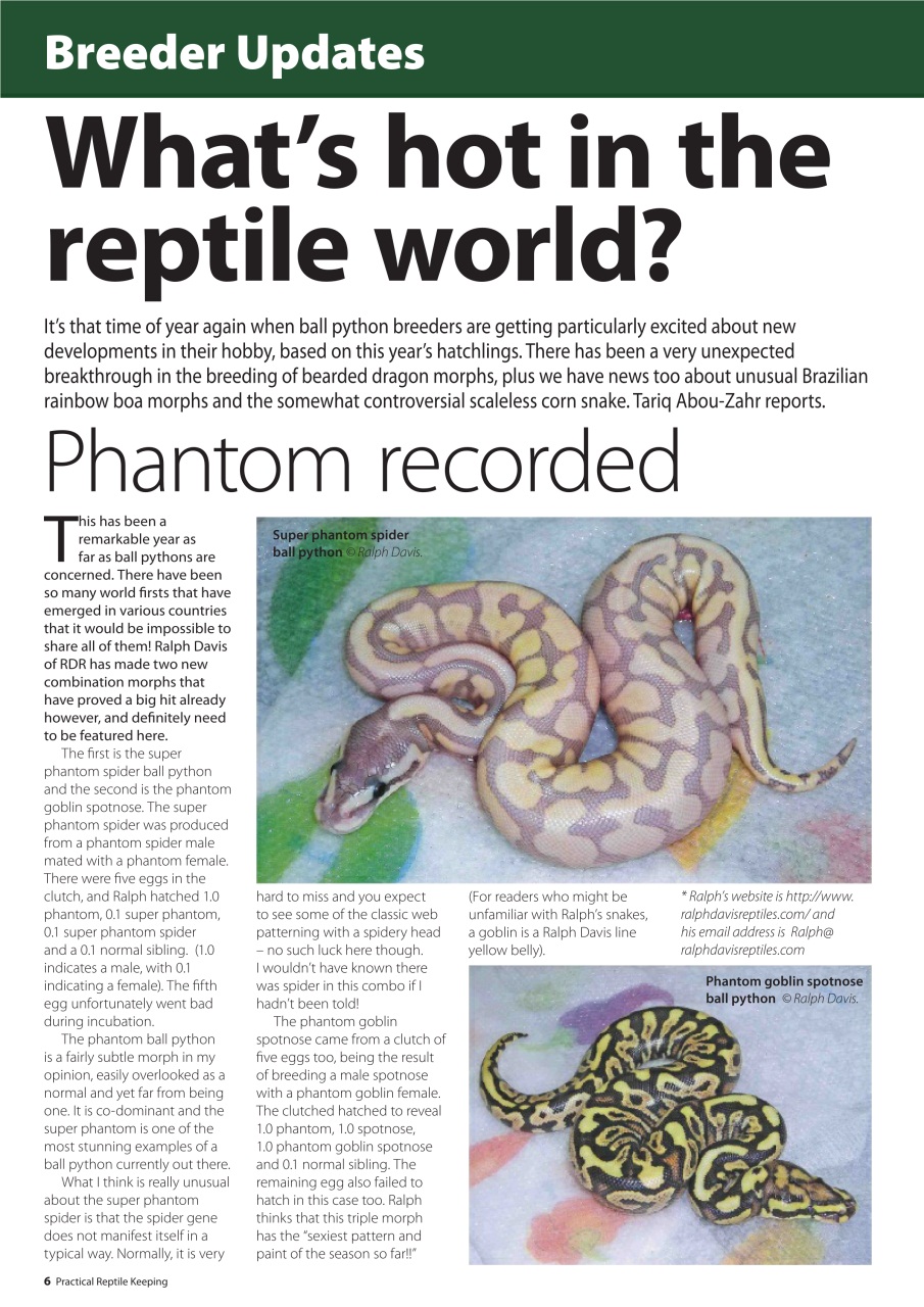Practical Reptile Keeping Magazine - No.19 Green Snakes & Amphibians ...