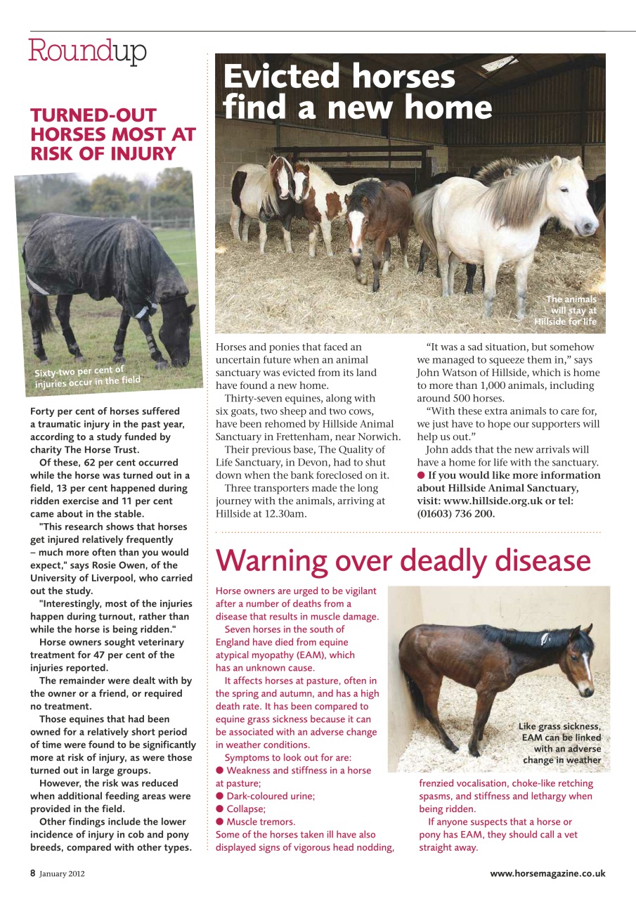 Horse Magazine - January 2012 Back Issue
