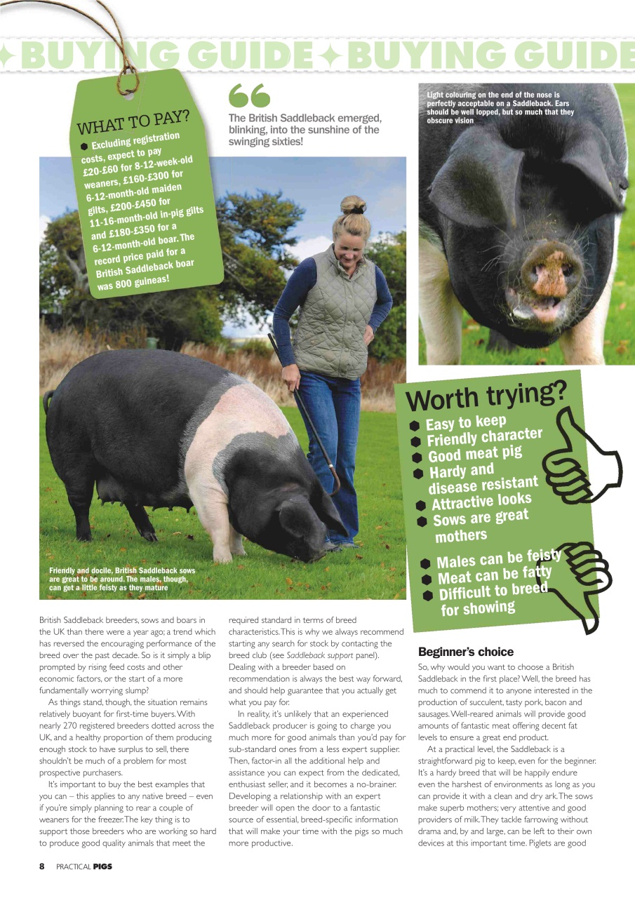 Practical Pigs Magazine - Practical Pigs Winter 2012 Back Issue